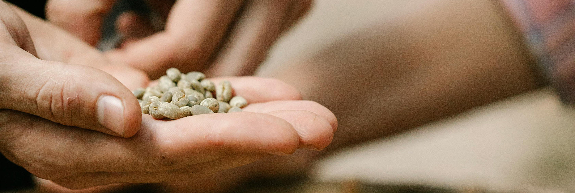 How Does Coffee Trading Work? – Beancraft