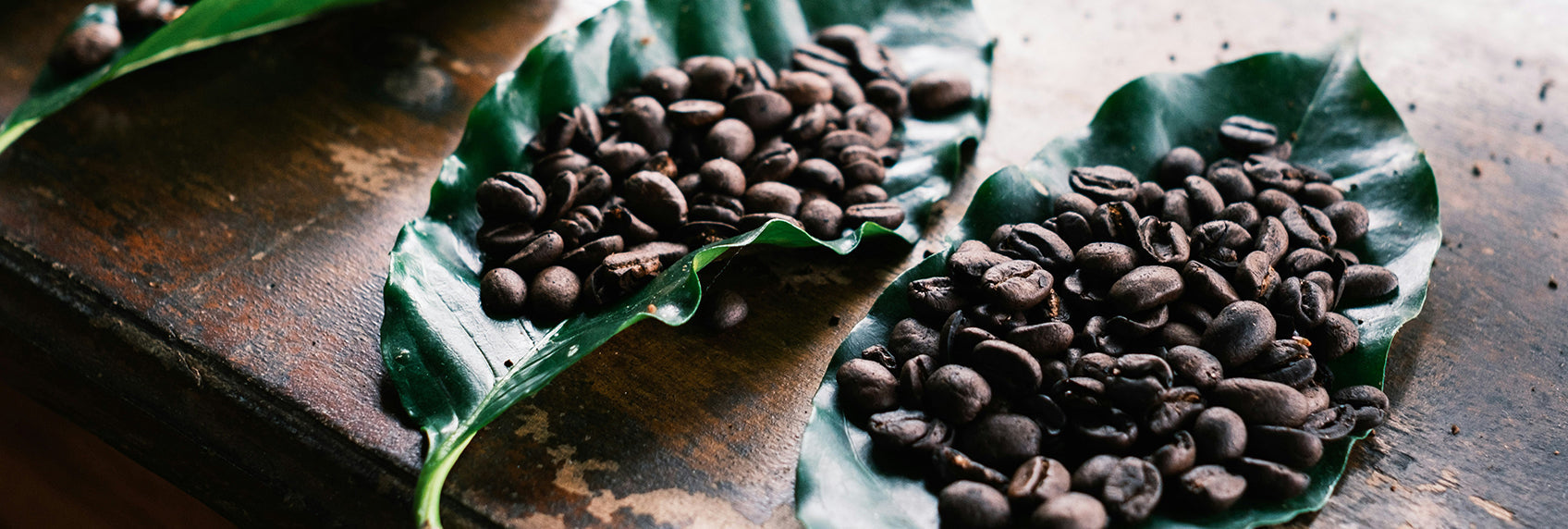 How Terroir Affects Your Coffee – Beancraft