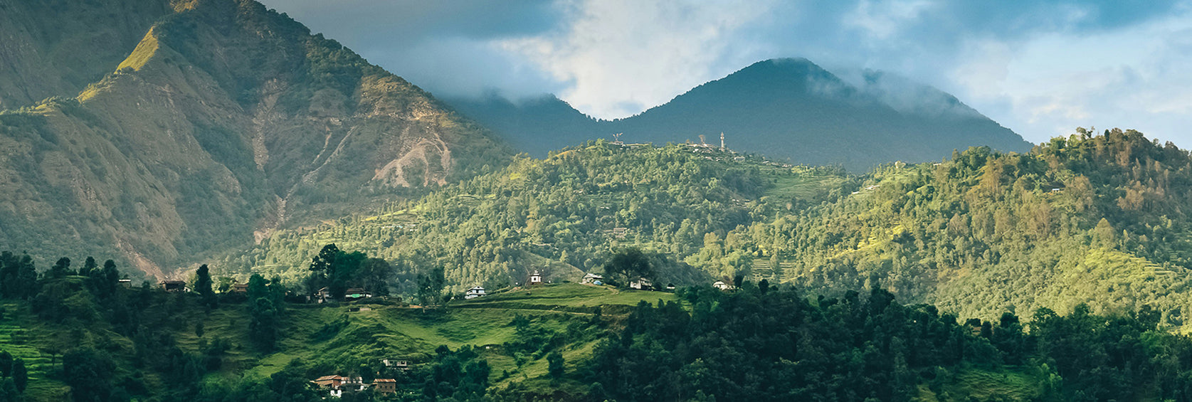 What to Know About Nepal’s Coffee Industry? – Beancraft